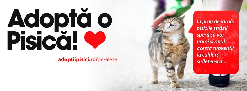 ONG-uri pentru Protectia Animalelor